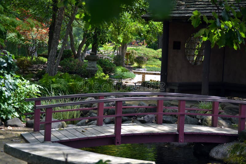 Zen bridge stock photo. Image of trees, small, leaves - 52121624