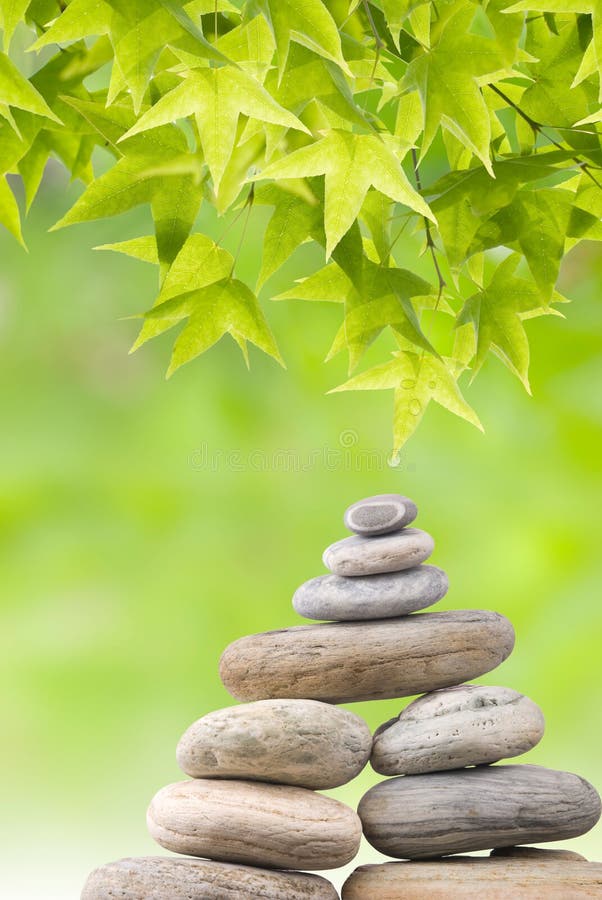 Zen Concept, Fresh Green Leaves and Pebbles Stock Image - Image of ...