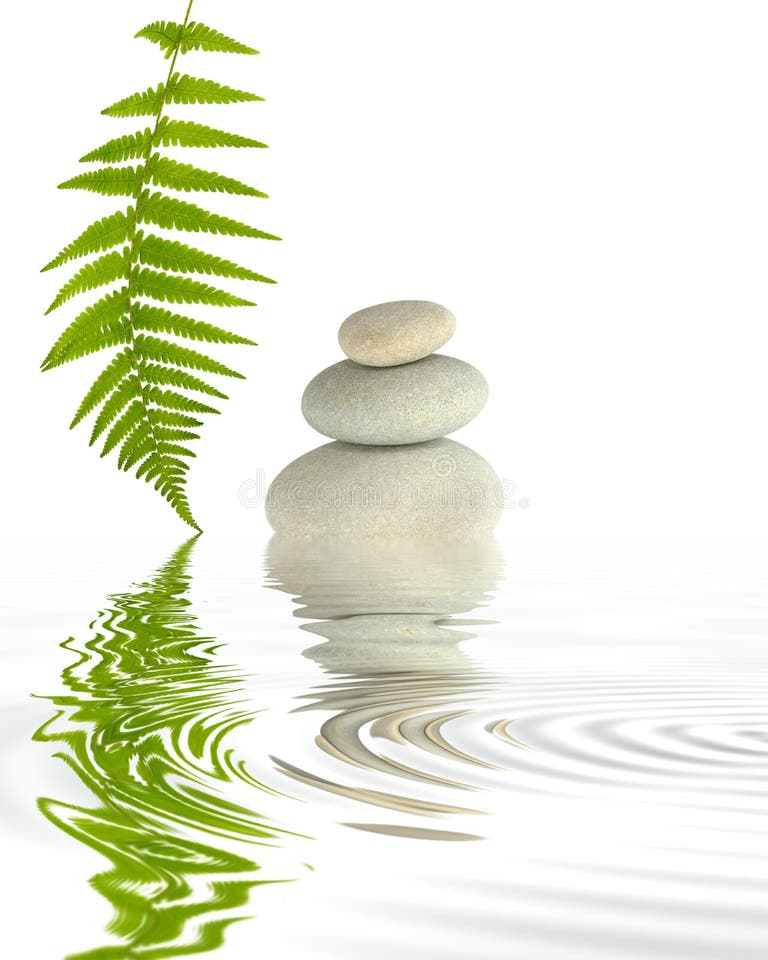 555 Japanese Garden Water Elements Stock Photos - Free & Royalty-Free ...