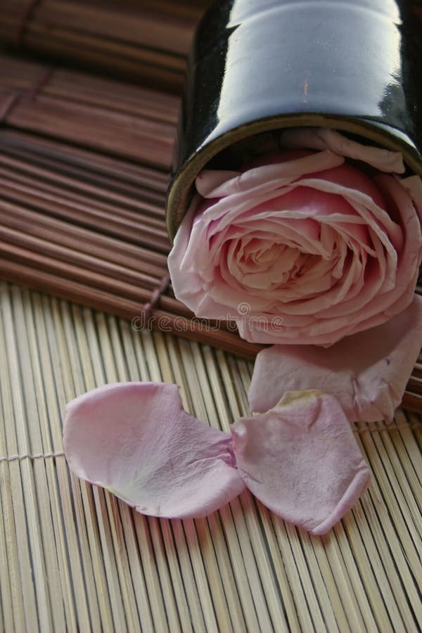 Zen Flower stock photo. Image of japanese, bowls, japan - 411194