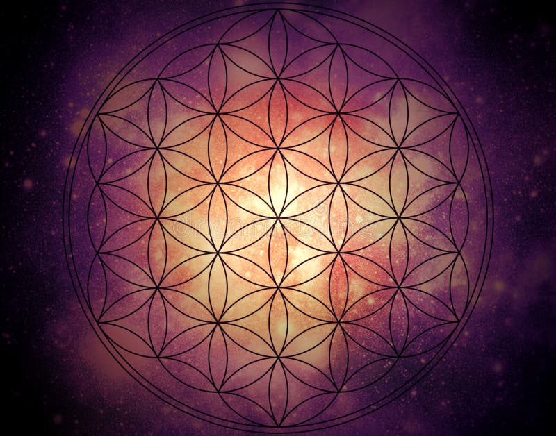 Zen flower stock illustration. Illustration of light - 260531003