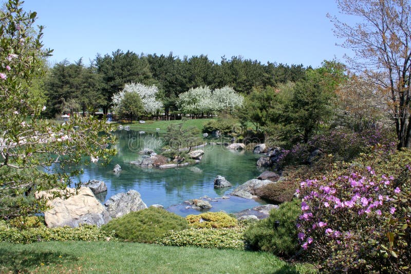Zen garden. stock photo. Image of dream, white, bush, spring - 7248870