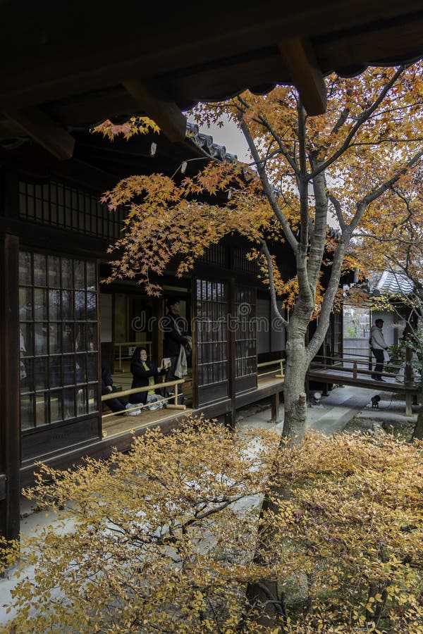 A zen garden in the fall stock photo. Image of meditation - 360211114