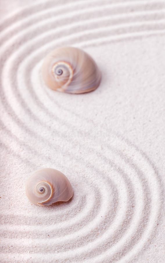Zen Garden with a Wave Lines in the Sand with Relaxing Snail Stock ...