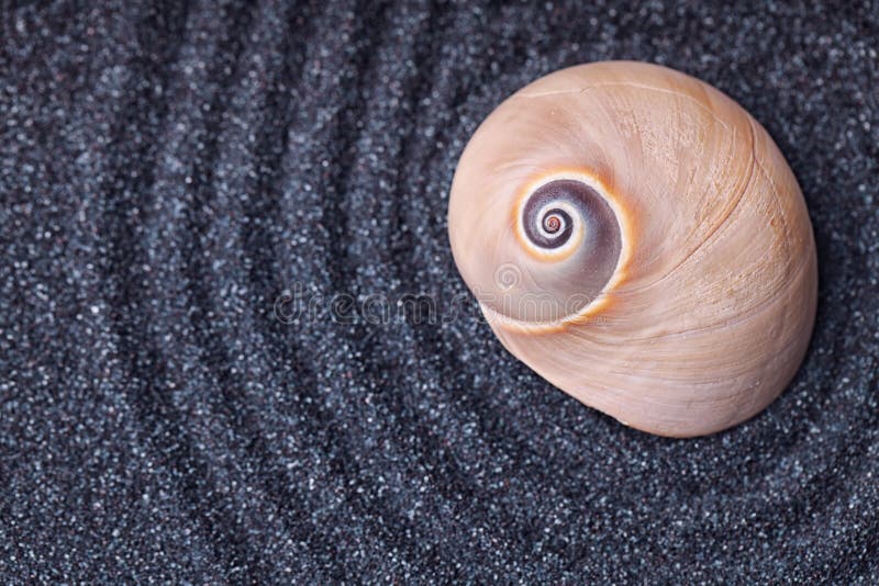 Zen Garden with a Wave Lines in the Sand with Snail Shells Stock Photo ...