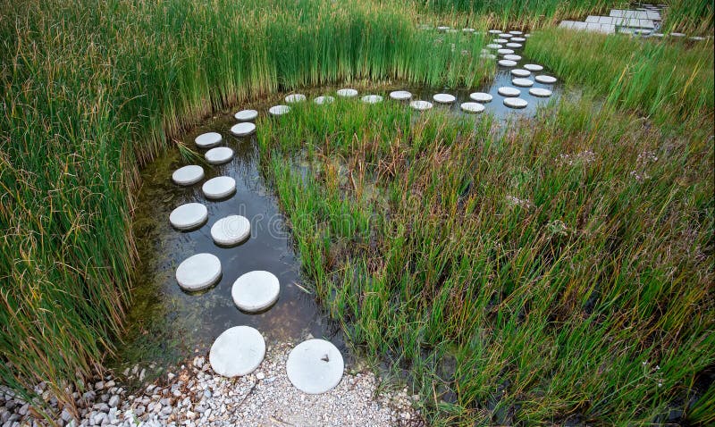 994 Zen Water Pathway Stock Photos - Free & Royalty-Free Stock Photos ...