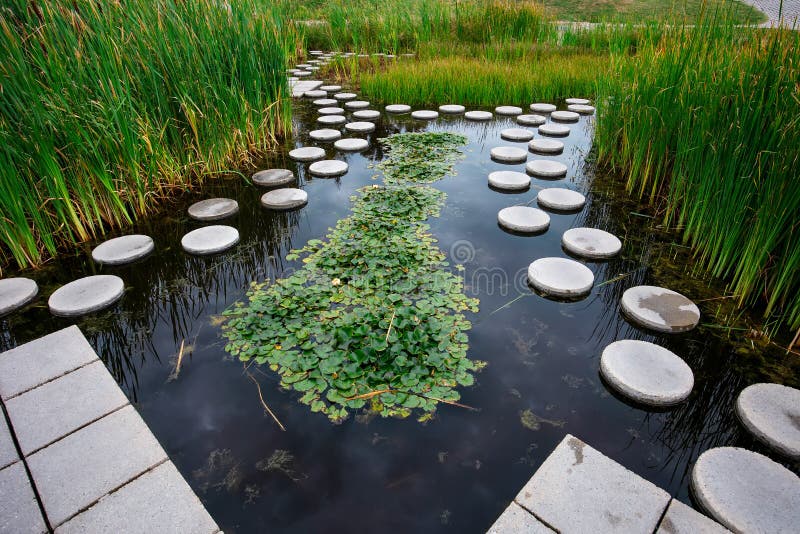 Zen Like Stone Path in Water Stock Photo - Image of foliage, peaceful ...