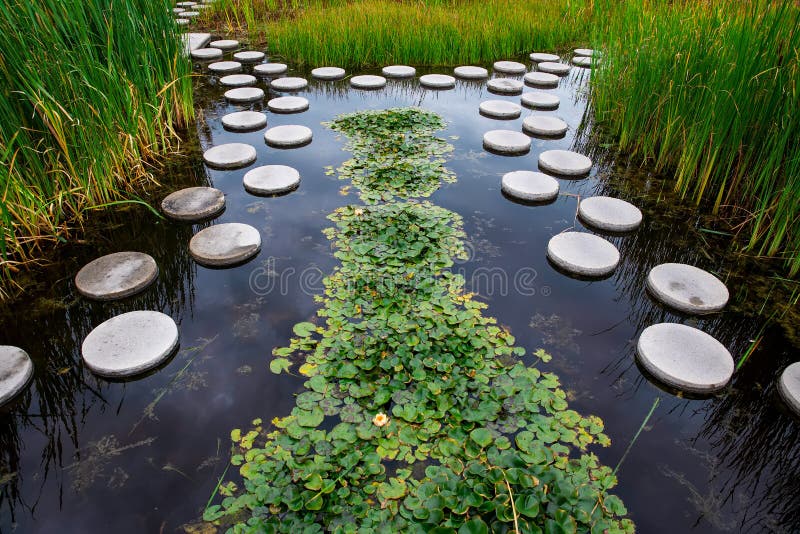 Zen Like Stone Path in Water Stock Image - Image of park, pathway ...