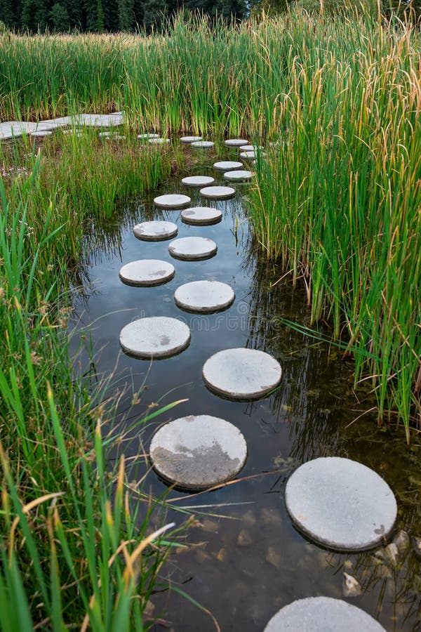 Zen Like Stone Path in Water Stock Image - Image of japanese, like ...
