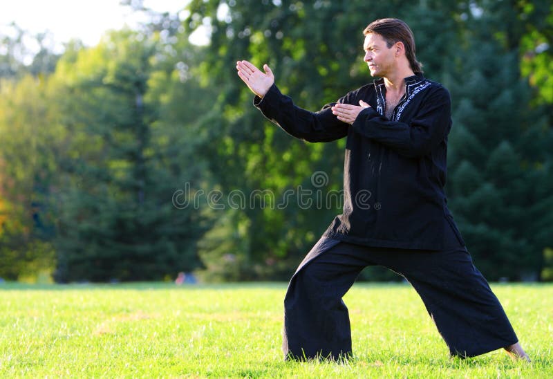 Zen master stock image. Image of gesture, mind, exercise - 3317591