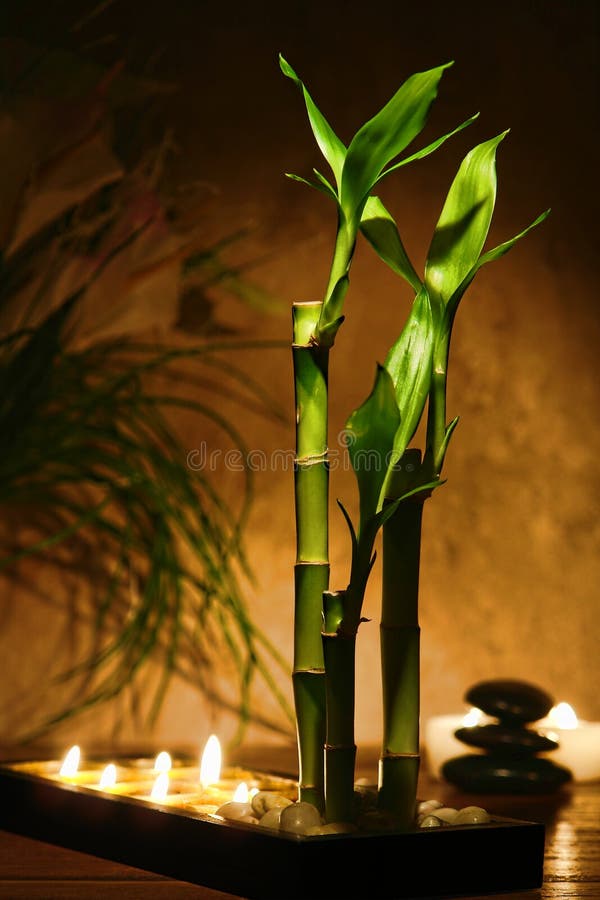 Zen Meditation Candles and Bamboo Plants Stock Photo - Image of stems ...