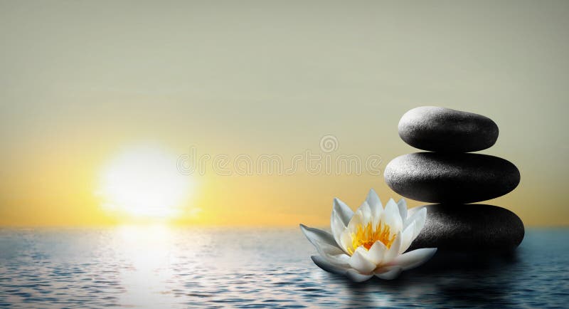 Zen, Meditation, Harmony. Beautiful Lotus Flower and Stack of Stones on ...