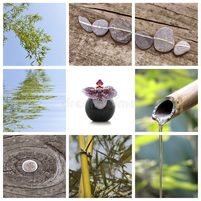 Zen nature square collage stock photo. Image of nature - 89903290