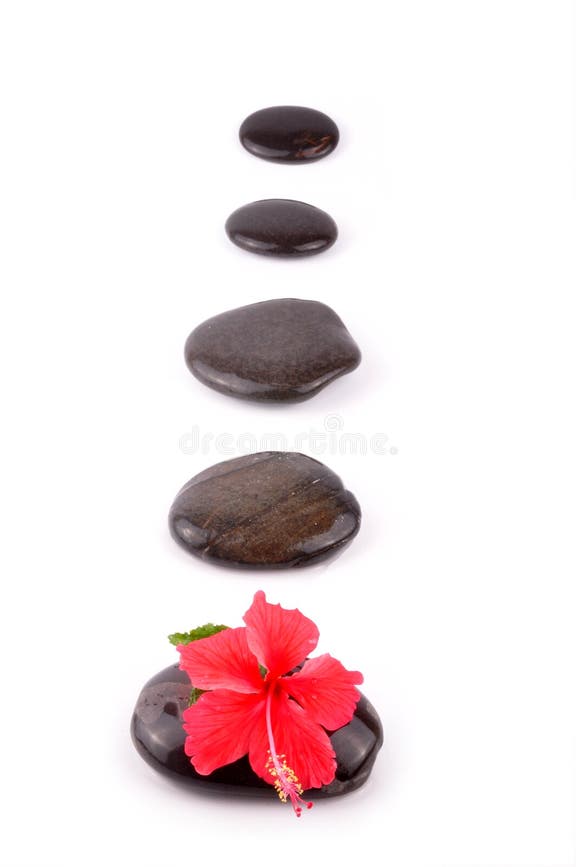 Zen path stock photo. Image of nature, black, herbal - 10615008
