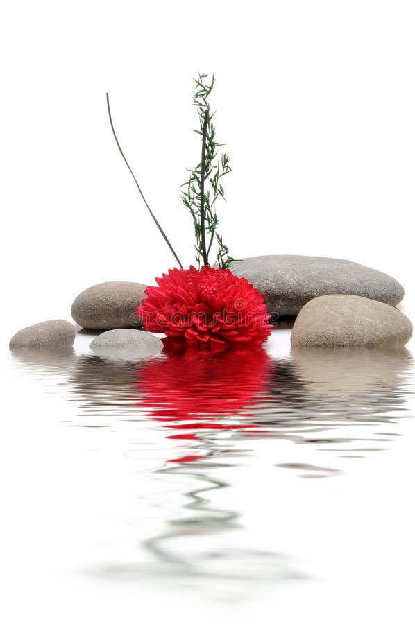 Zen Silence stock photo. Image of garden, nature, growth - 7327870