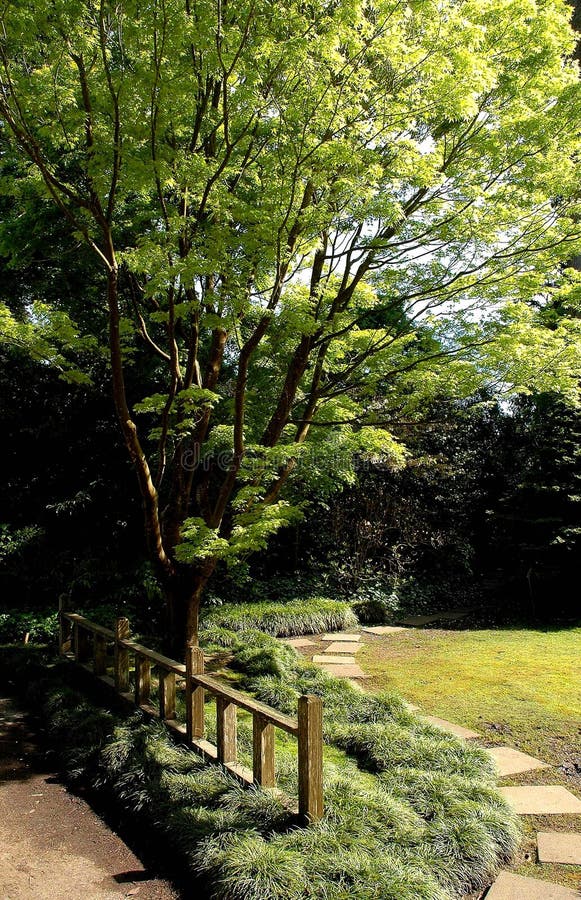 A Zen path stock image. Image of cement, earth, clear, green - 485771