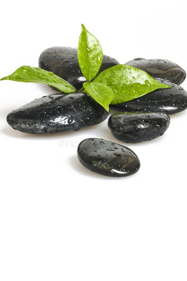 Zen pebble and green leaf stock image. Image of pebble - 42405737