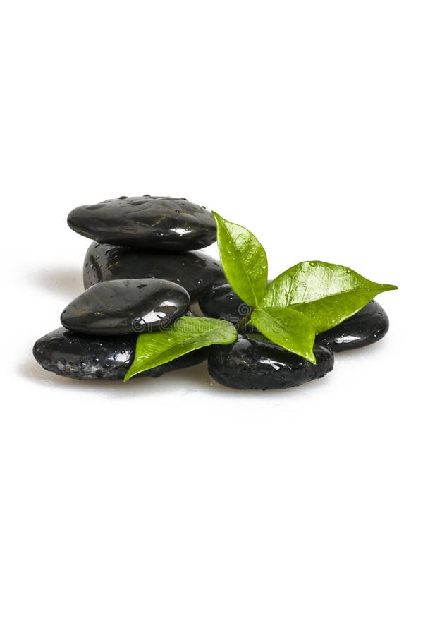 Zen pebble and green leaf stock image. Image of decoration - 42405767