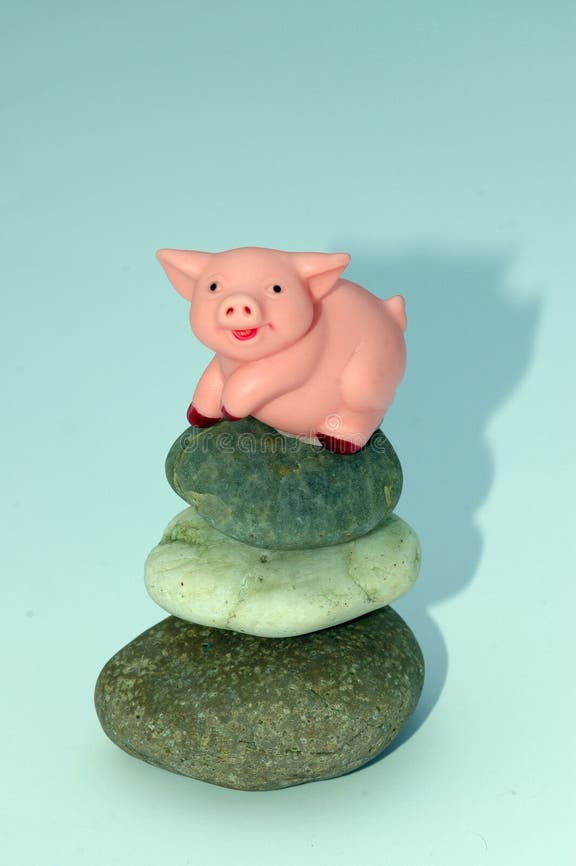 Zen pig stock image. Image of piggy, funny, relationships - 2327053