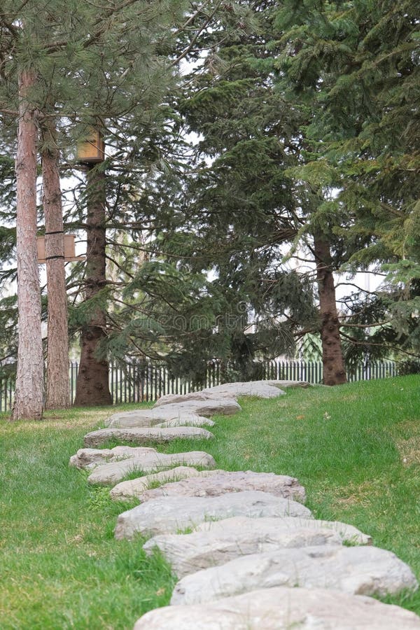 Zen Rock Stone Path in Forest Stock Photo - Image of green, summer ...
