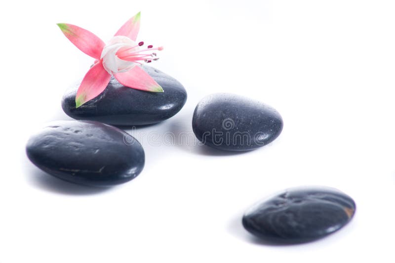 Pierres De Zen Avec Les Fleurs Roses Image stock - Image du propre ...