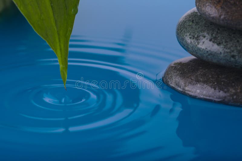 Zen Stone Water and Peace Plant Leaf Stock Image - Image of plant ...