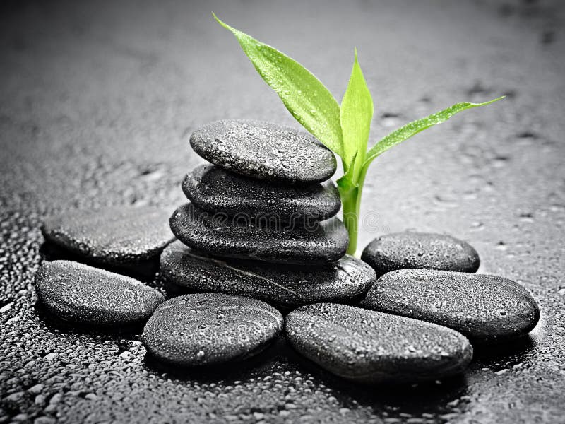 Zen stones stock photo. Image of medicine, bamboo, leaf - 37530262