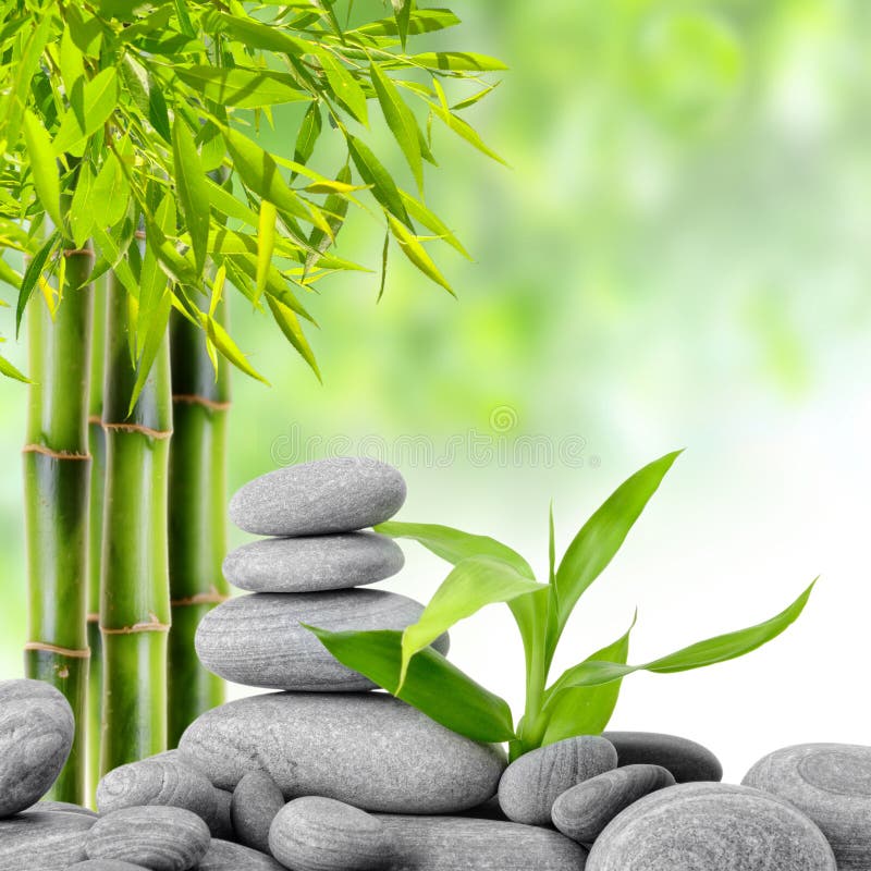 Zen stones stock photo. Image of fengshui, asian, leaves - 45607636