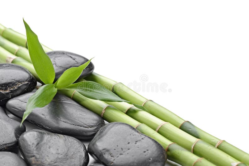 Zen stones stock photo. Image of garden, leaf, border - 84274328