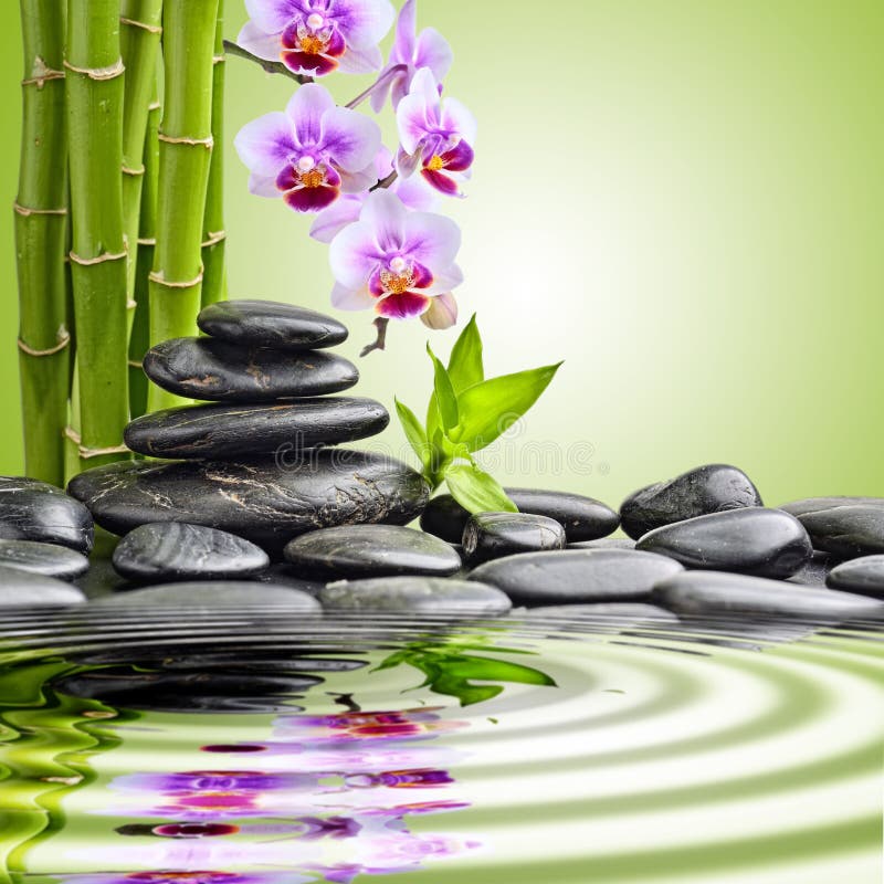 Zen stones stock photo. Image of green, garden, buddhism - 45607916