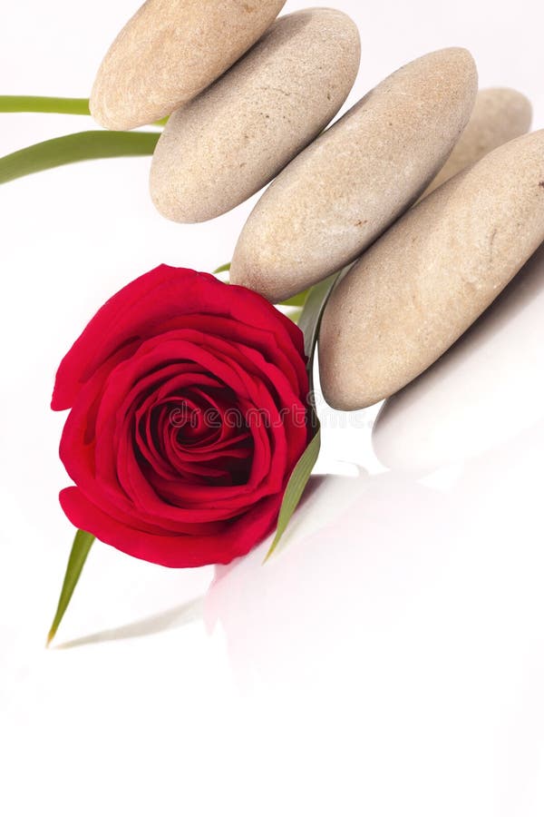Zen stones with flower stock photo. Image of relaxation - 26970038