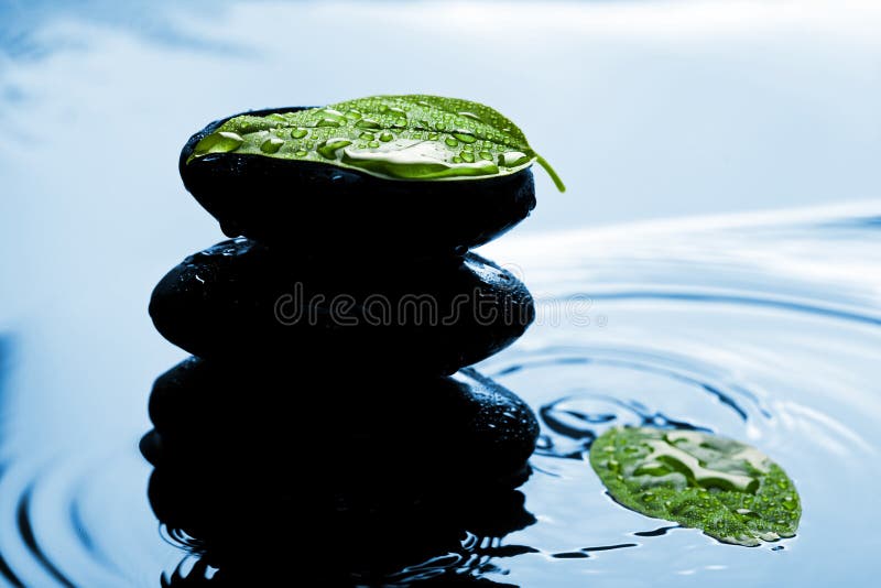 Zen Stones and Leaves with Water Drops Stock Image - Image of flora ...