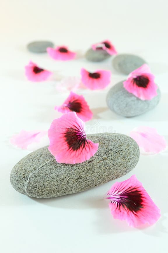 Zen stones path stock image. Image of beautiful, beauty - 19207519