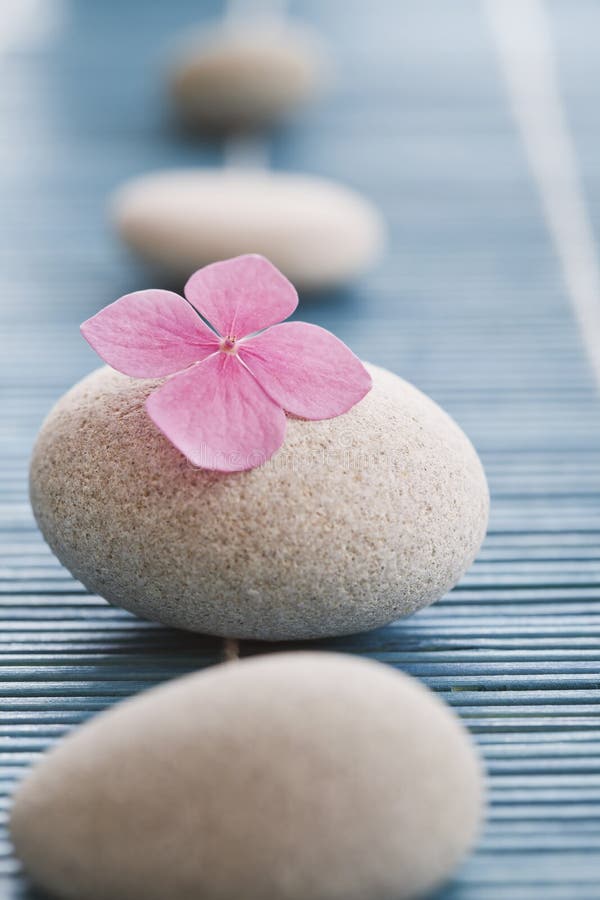 Zen Stones and Pink Flowers Stock Image - Image of flowers, bath: 34433817