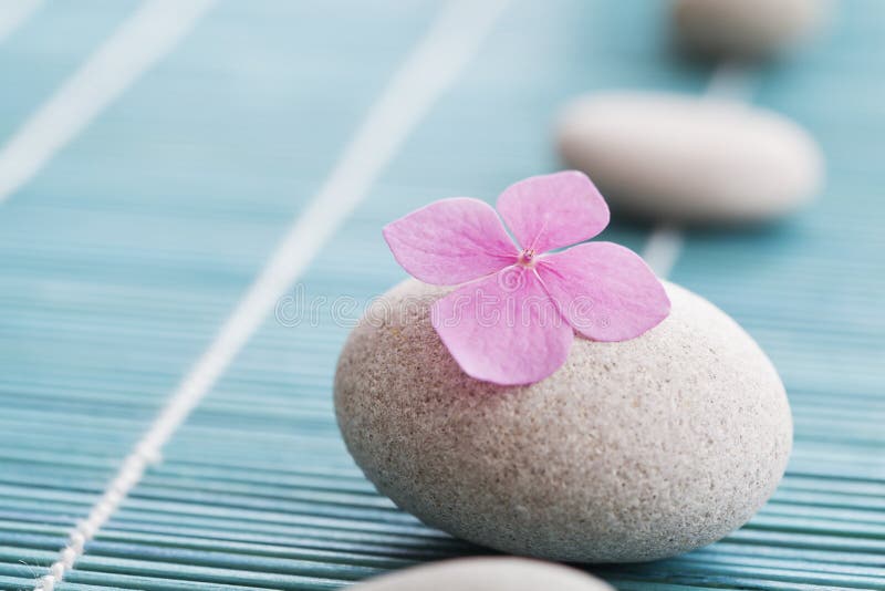Zen Stones and Pink Flowers Stock Image - Image of natural, care: 34433943