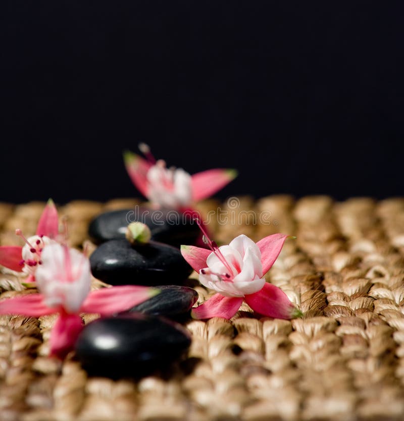 Zen Stones with Pink Orchid Morning Light Stock Image - Image of ...
