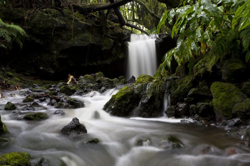 211 Pond Streaming Sunlight Stock Photos - Free & Royalty-Free Stock ...