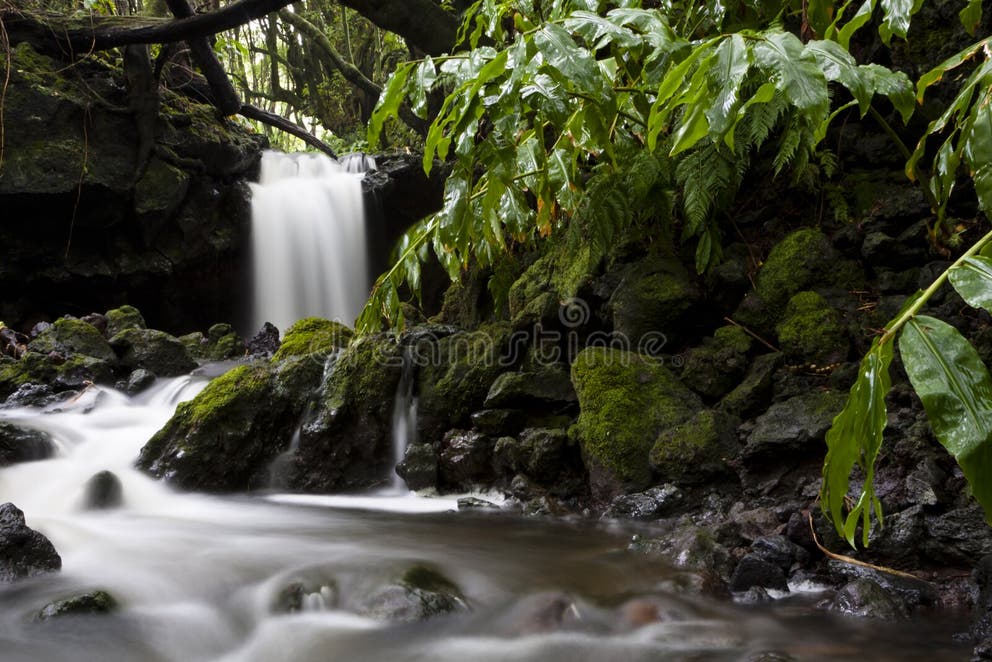 Zen Stream stock photo. Image of fresh, fall, forest - 25440424