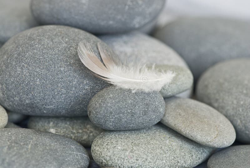 Zen Style Feather Still Life Stock Photo - Image of life, feather ...