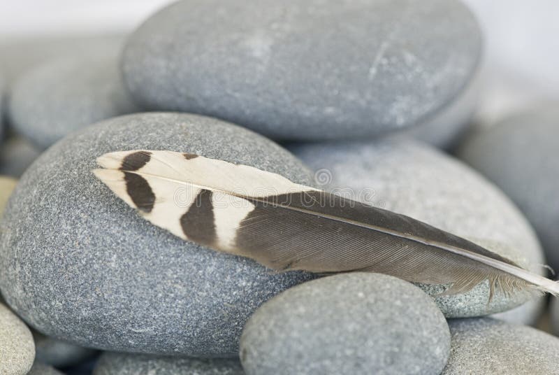 Zen Style Feather Still Life Stock Photo - Image of feather, smooth ...