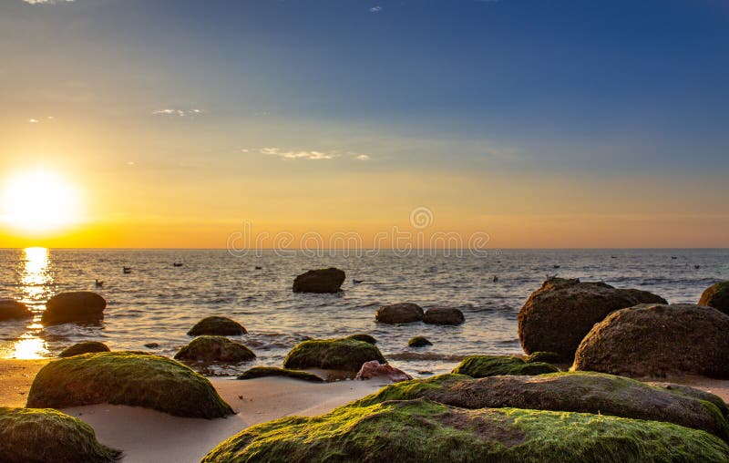 Zen sunset at the beach stock image. Image of daylight - 146909169