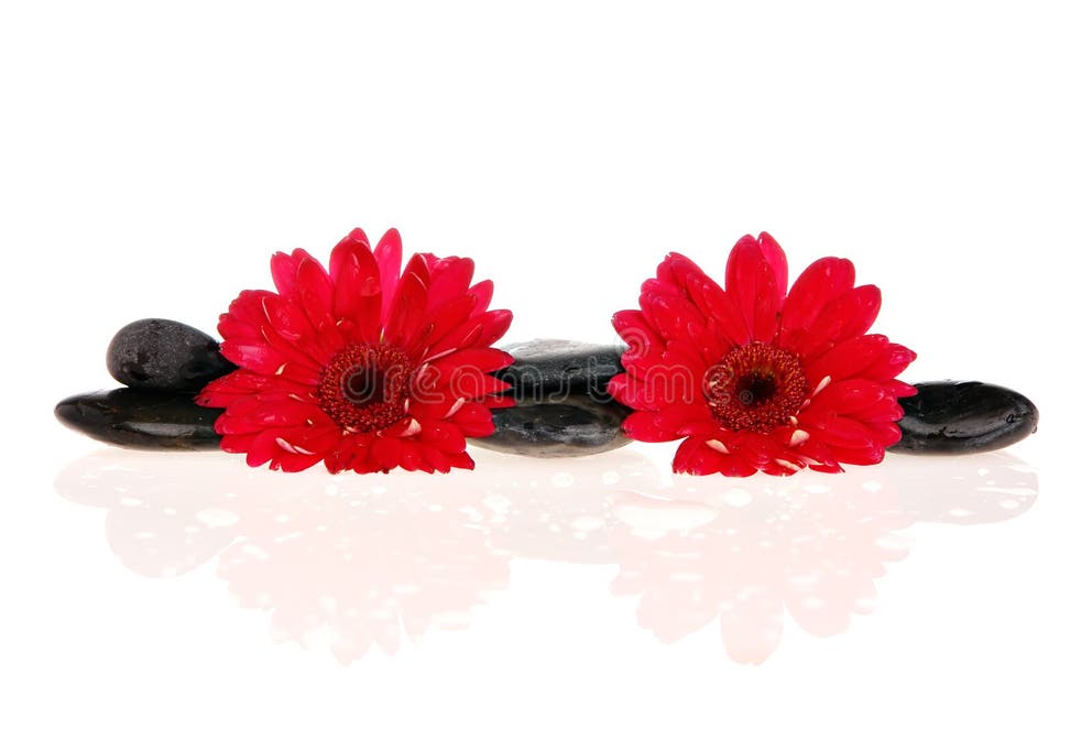 Zen Treatment stock image. Image of essential, relaxation - 2311049