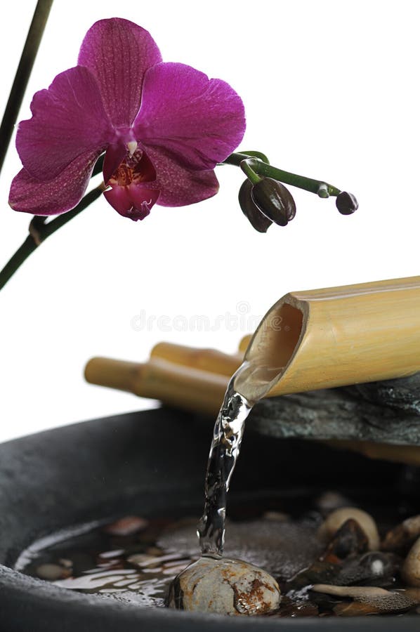 Zen Water stock photo. Image of bamboo, salt, spirit, blue - 4880974