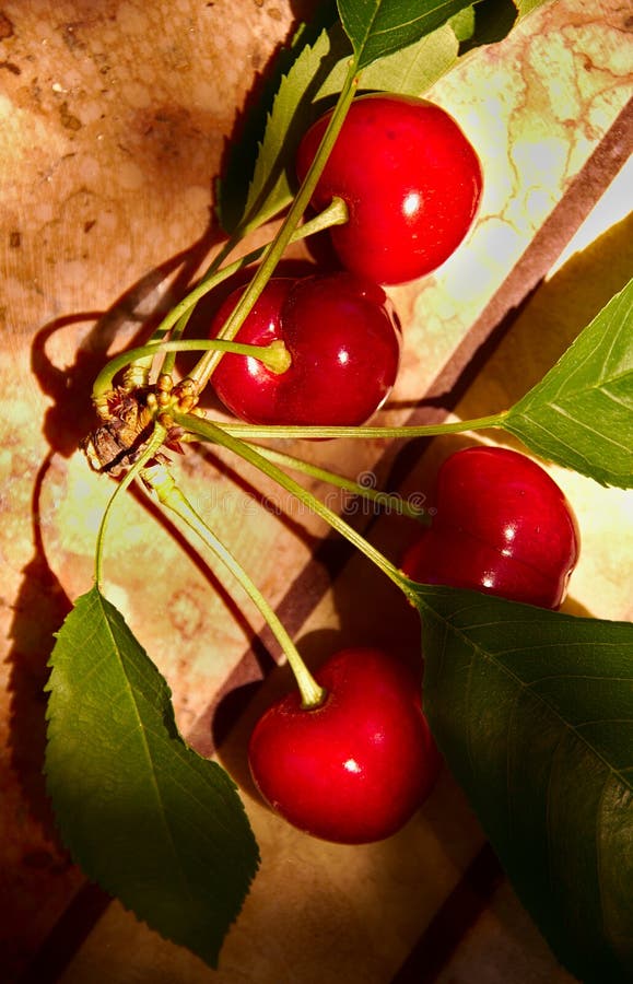 Close Up of Cherries in Nature Over Table Using Natural Sun Light Stock ...