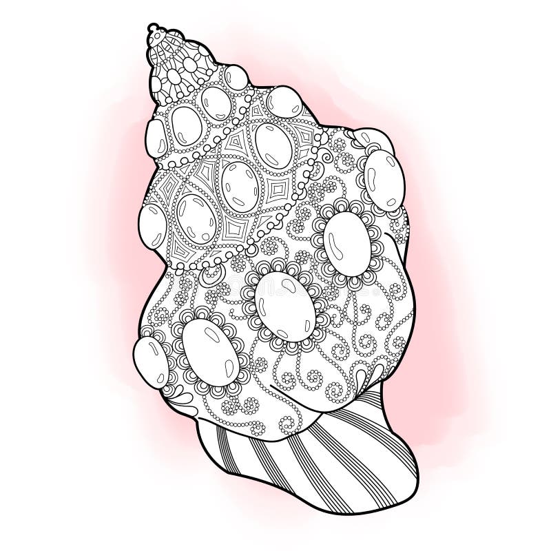 Zentangle Seashell Vector Illustration Stock Vector - Illustration of ...