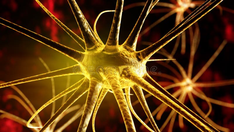 Zenuwcel stock illustratie. Illustratie bestaande uit menselijk - 30943481