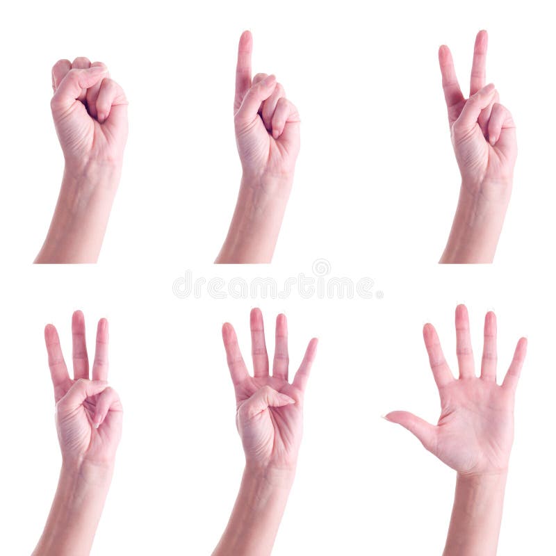 Finger numbers 5 stock image. Image of numbers, five, prohibits - 1561