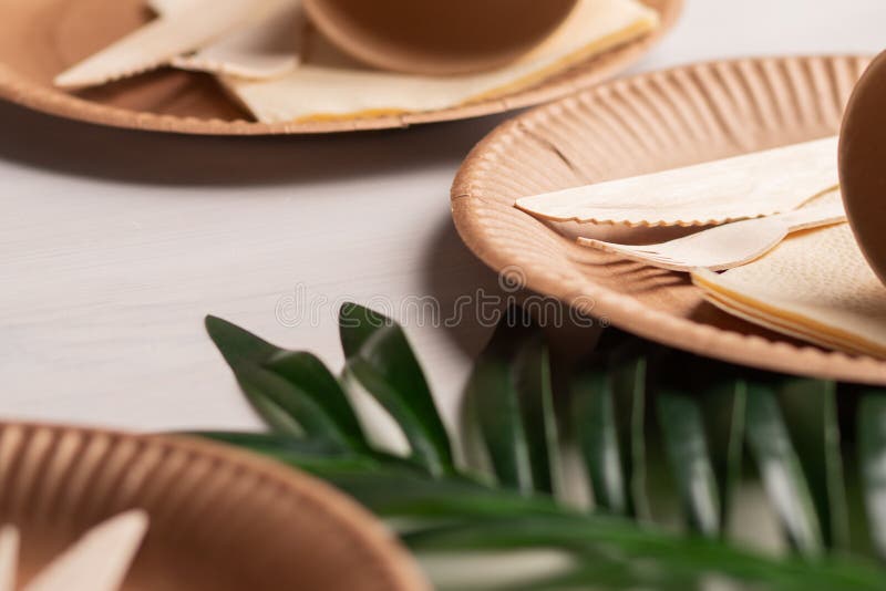 Zero Waste, Eco Friendly, Disposable Tableware Eco, Recycling and Food ...