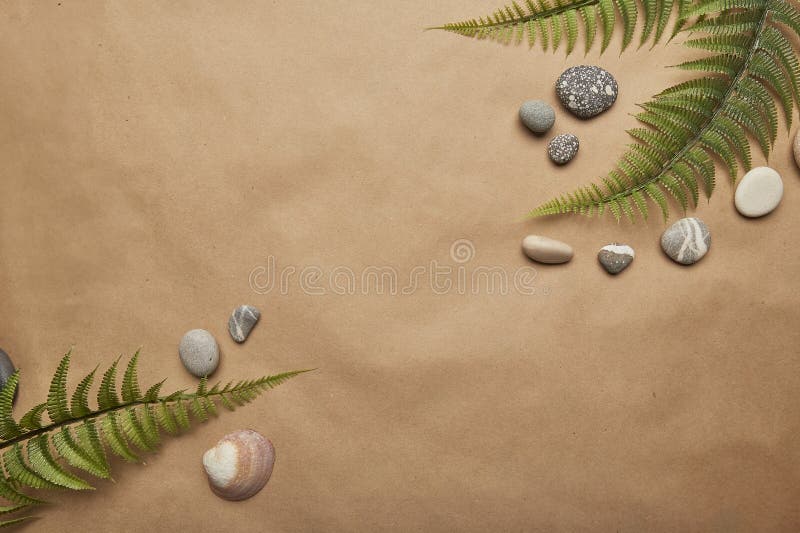 Zero Waste Natural Summer Backdrop with Space for Text Stock Photo ...