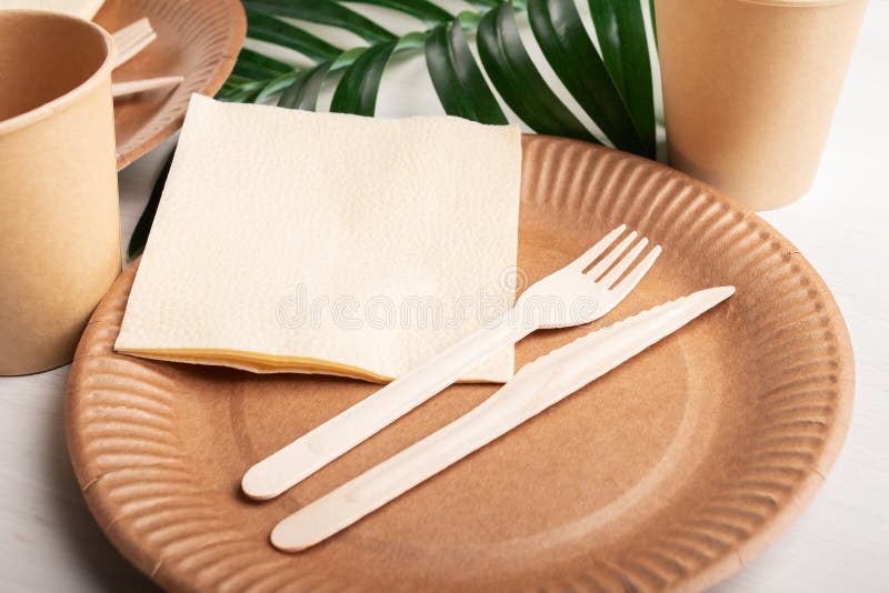 Disposable Biodegradable Ecological Tableware, Eco Packaging, Organic ...